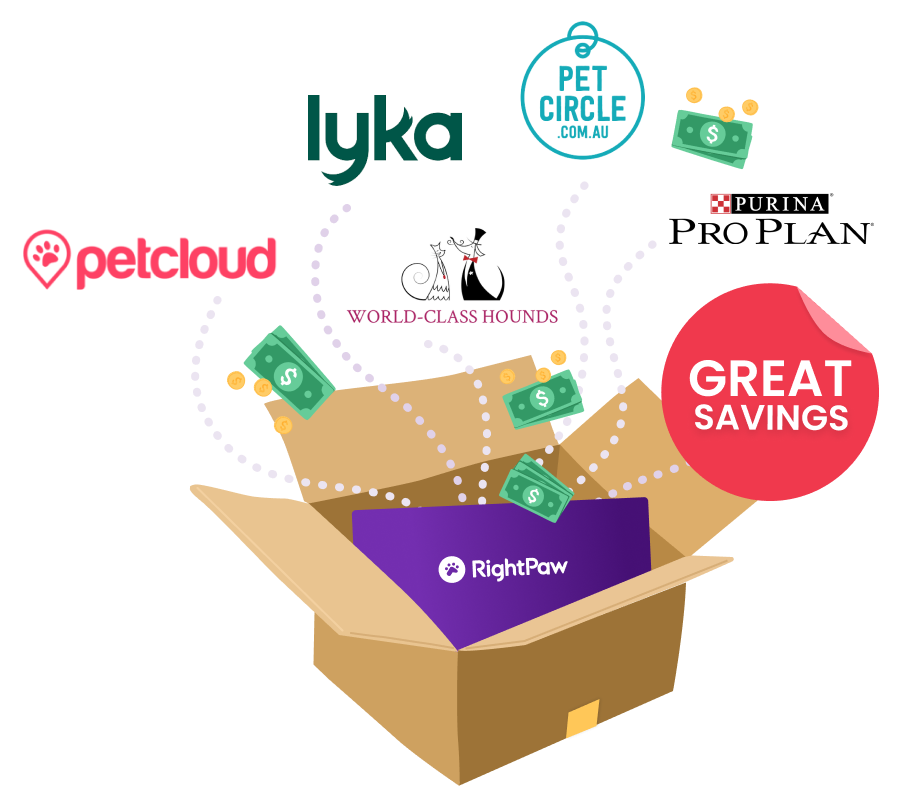Join RightPaw's Training & Perks | RightPaw