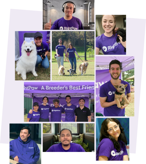 Join RightPaw's Training & Perks | RightPaw